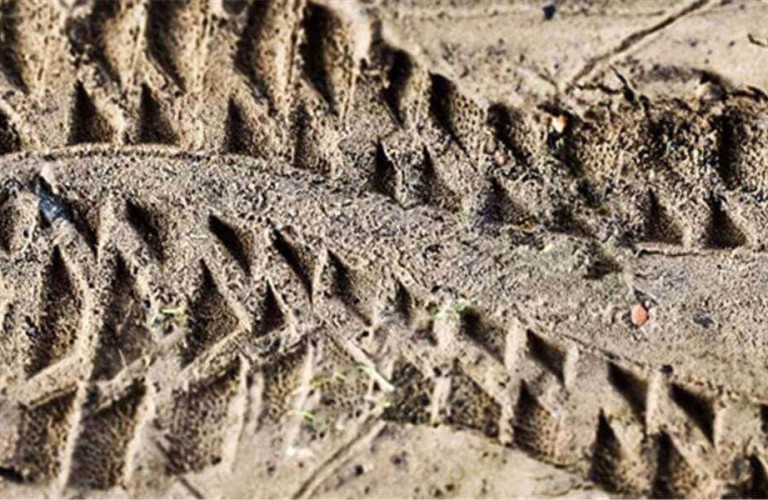 Criminal Investigation— 3D Scanner Applies to Footprint Identification ...